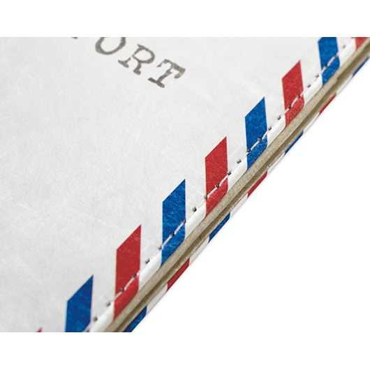 Dynomighty Tyvek Passport Cover - Envelope | Wallets Online